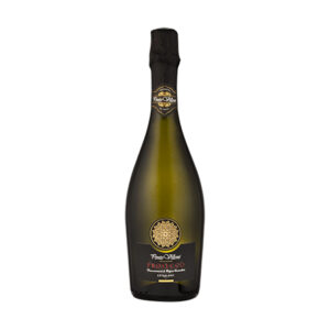 Ponte Villoni Prosecco Extra Dry DOC 750ML - Liquor World